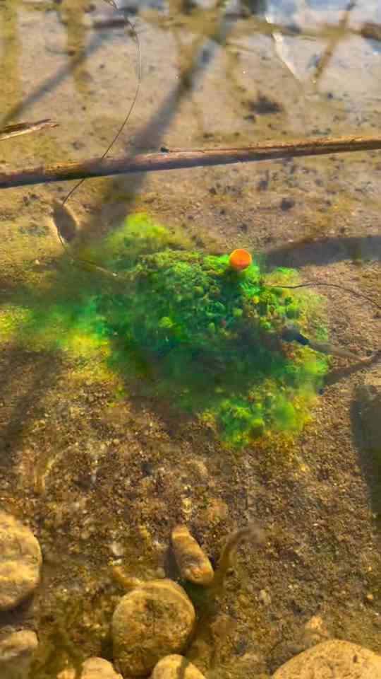 The calm and skill behind great fishing