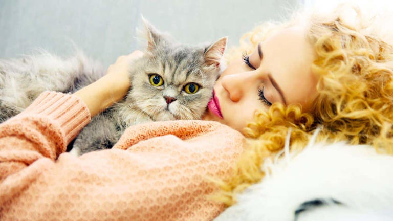 Cat: Why it wakes you up every morning and how to put an end to it