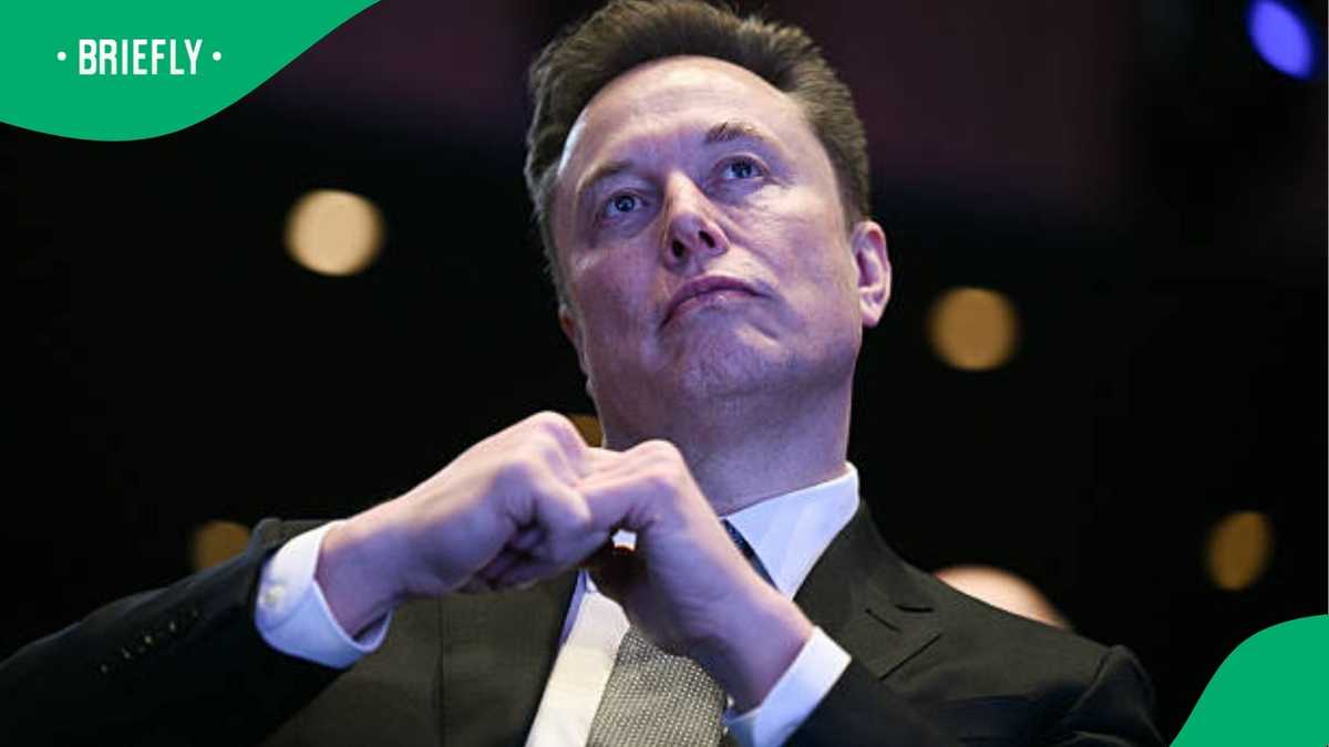 Mixed reactions as Elon Musk questions economic laws in South Africa ...