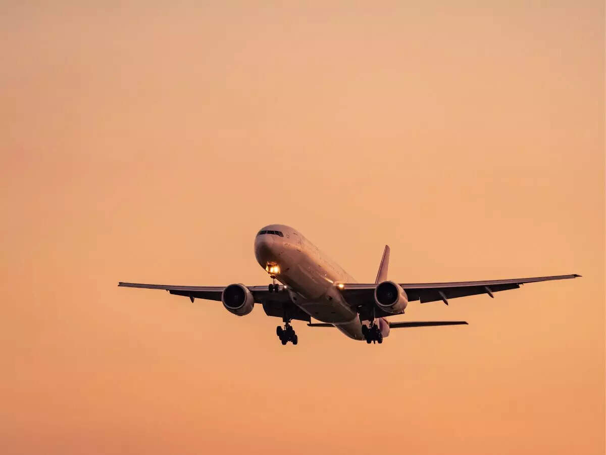 Turkish Airlines cancels Friday's Iran flights