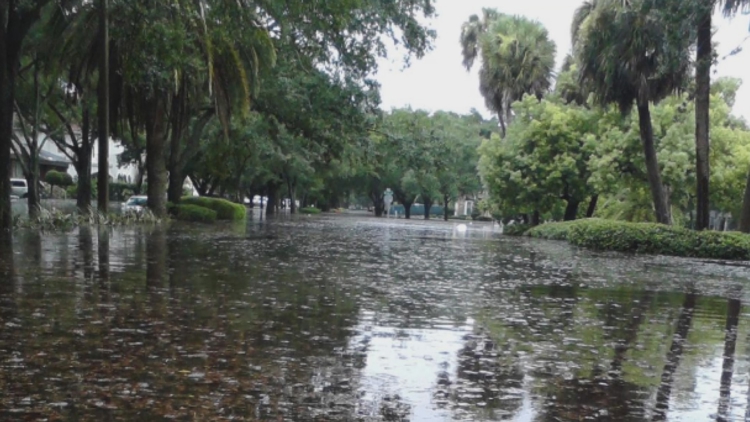 Tampa City Council narrowly votes to extend grant agreement for SoHo ...