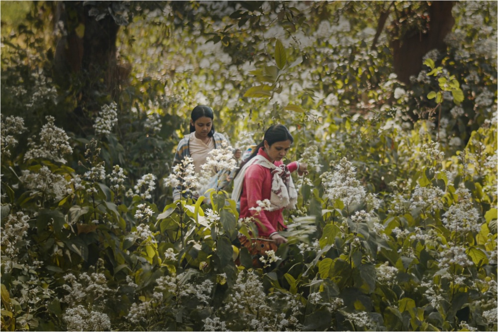 AI impact drama ‘Humans in the Loop' adds Shabana Azmi, Ritesh Batra ...