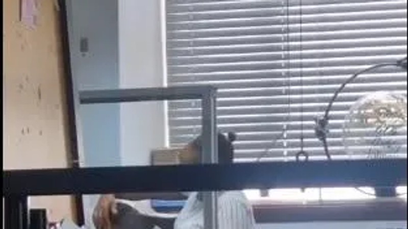 eThekwini Municipality staff under investigation for 'hair rubbing ...