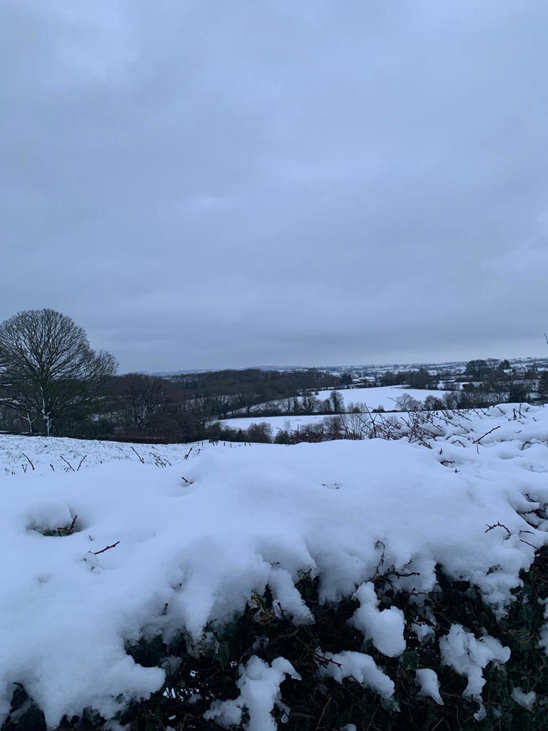 Gallery: Pictures show extent of snowfall across Sheffield in wake of ...
