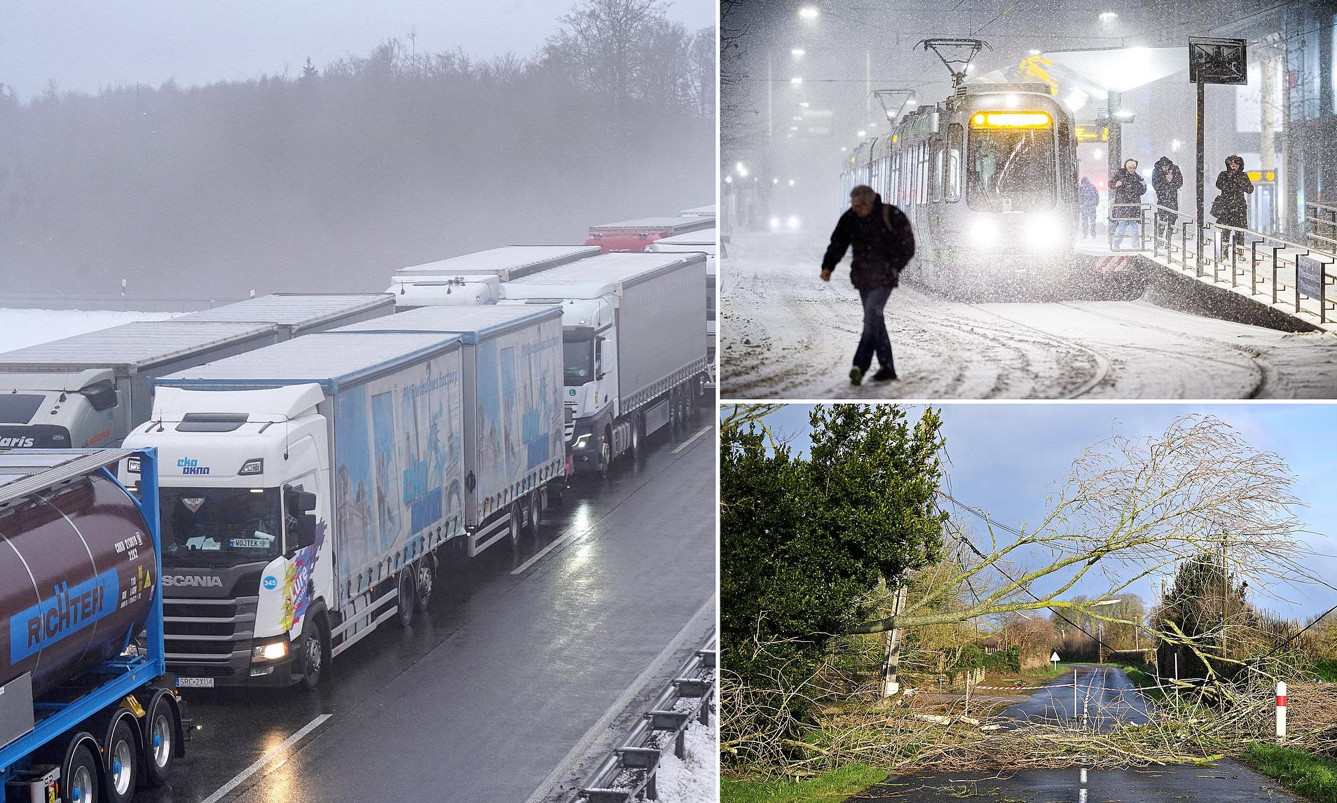 Frozen Europe grinds to a halt: Chaos in Germany as -20C blizzards halt ...