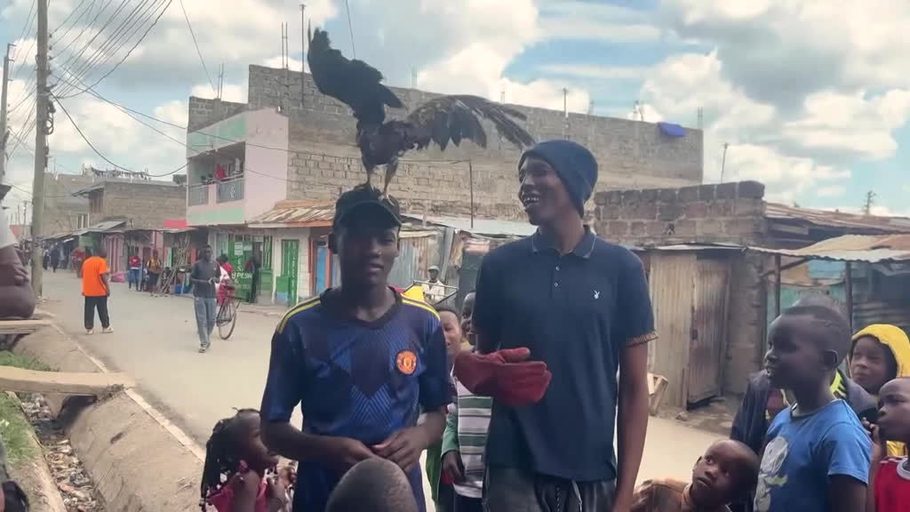 One man's mission to save injured birds in Nairobi