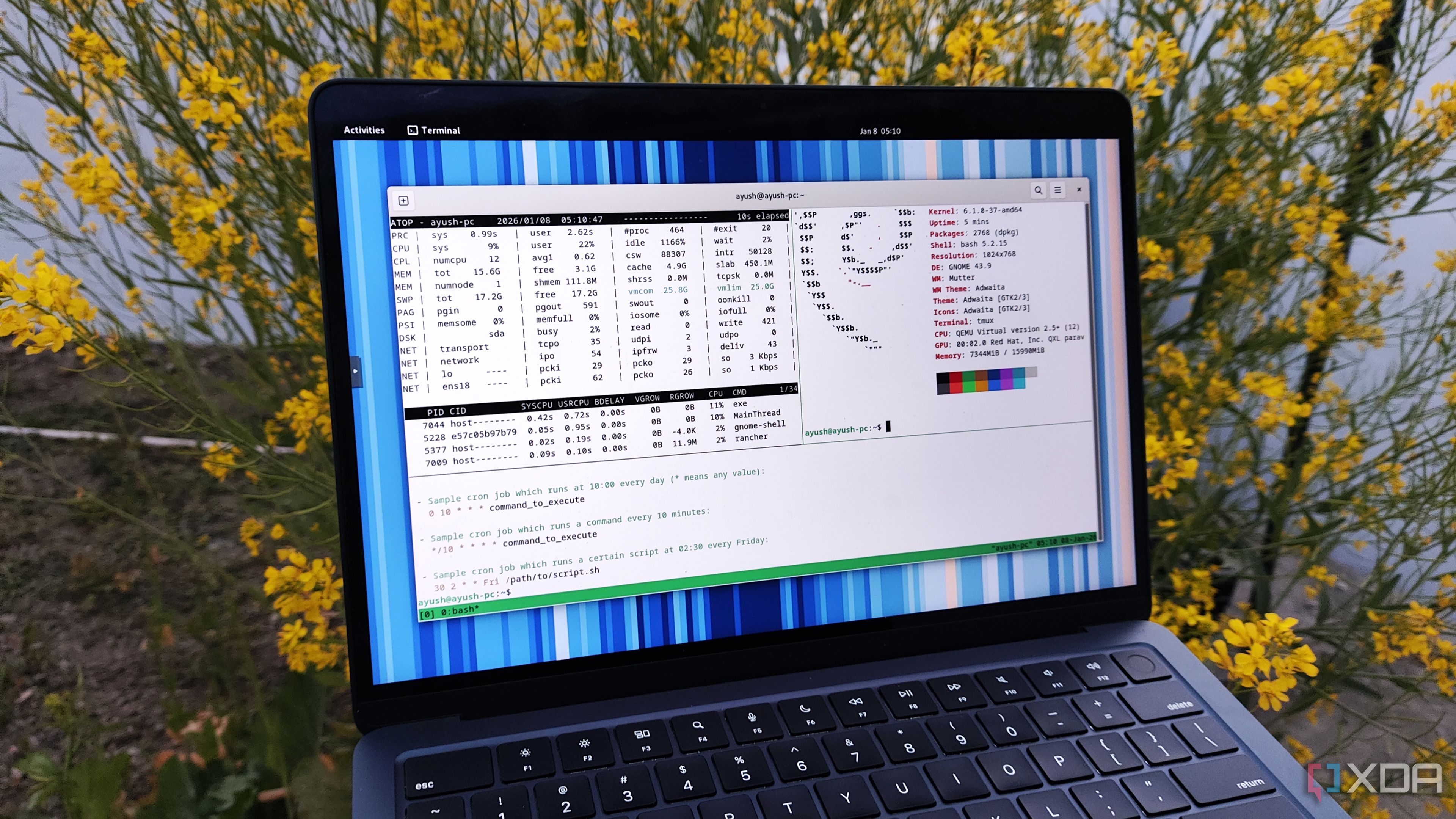 Thin clients are the best Linux machines nobody knows how to use correctly
