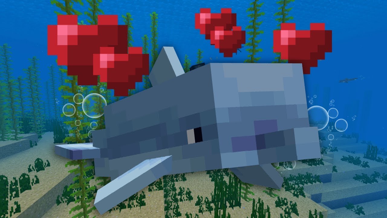 Minecraft Xbox dolphin feeding adventure
