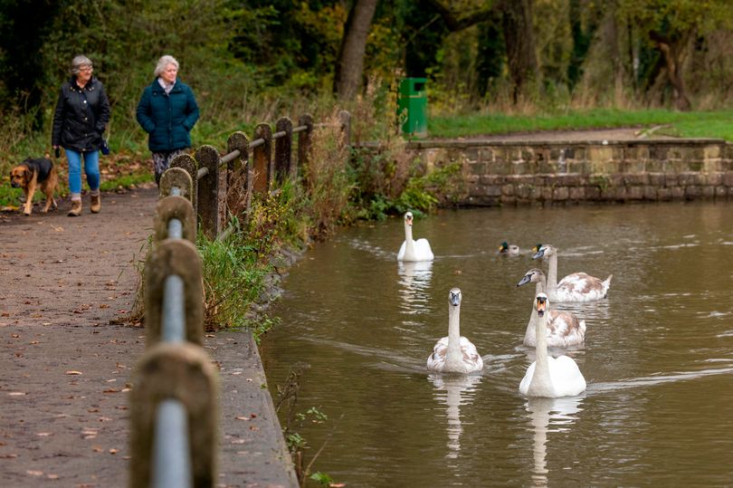 'Hidden gem' family walk with secret waterfall and huge playground 1 ...