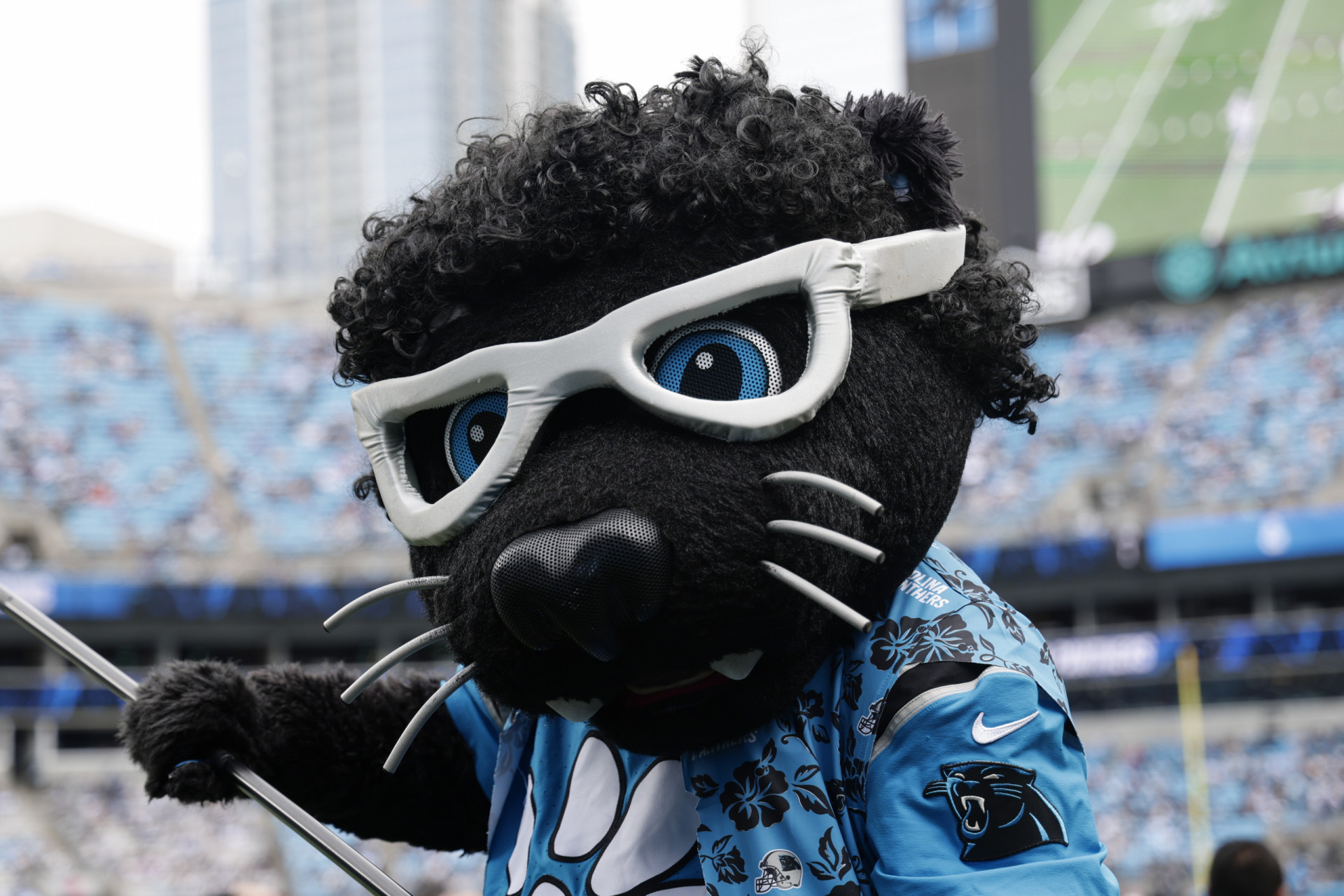 Which of these NFL mascots is your favorite?