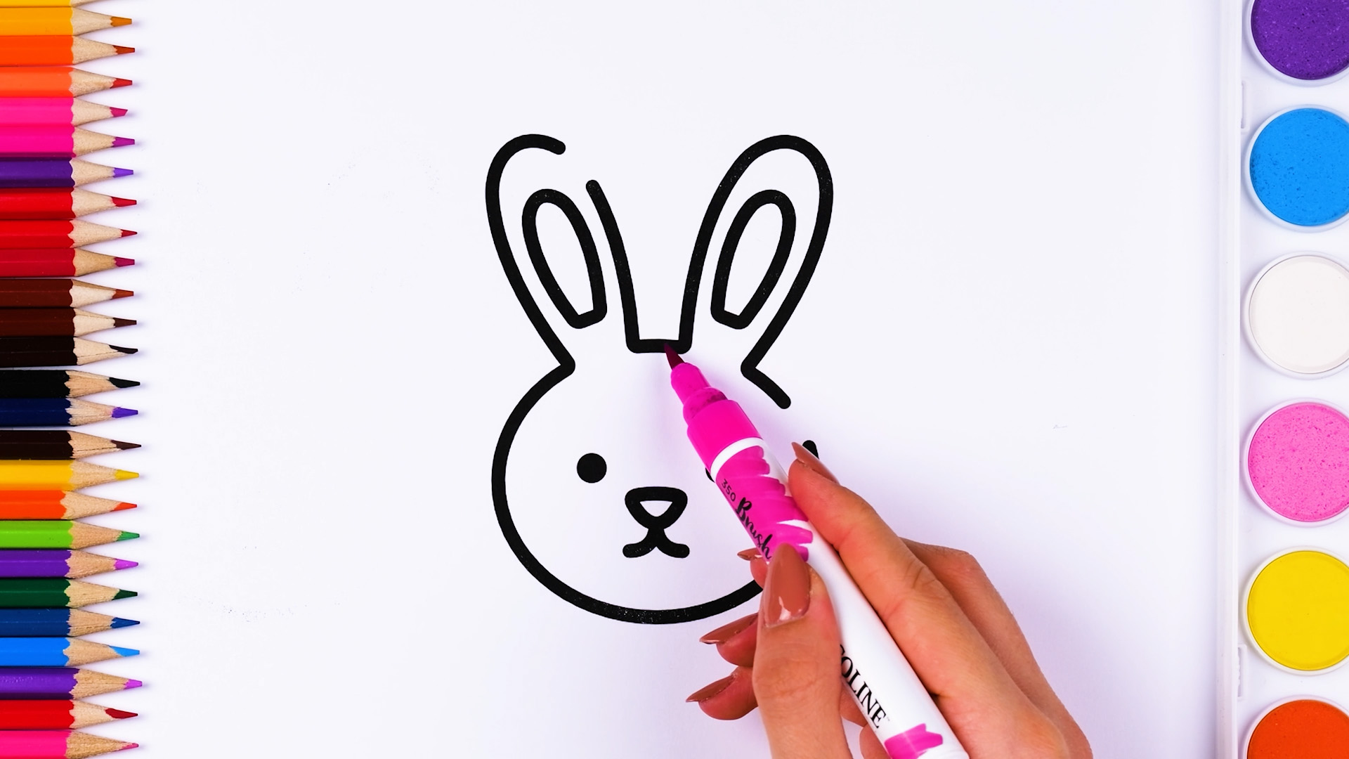 Cute bunny drawing and color learning for kids