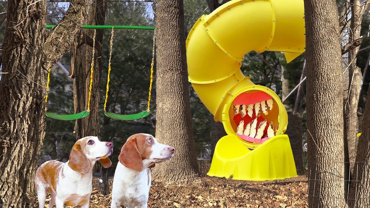 Dogs find slide-eater hiding in the woods