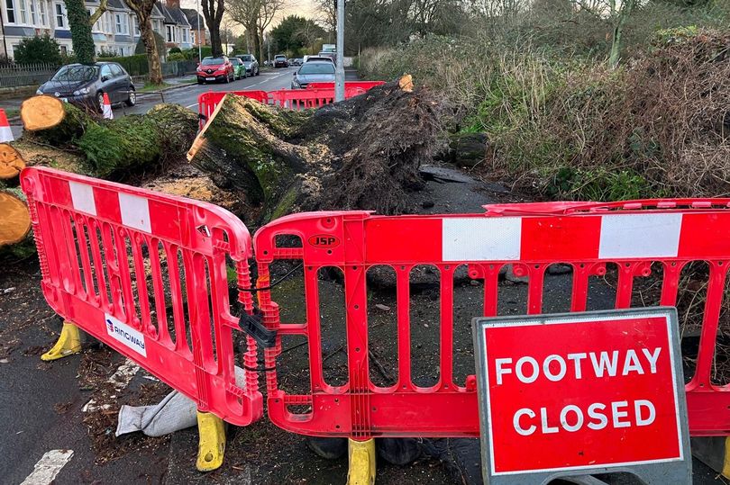 Floods and fallen trees as Storm Goretti brings chaos to Plymouth
