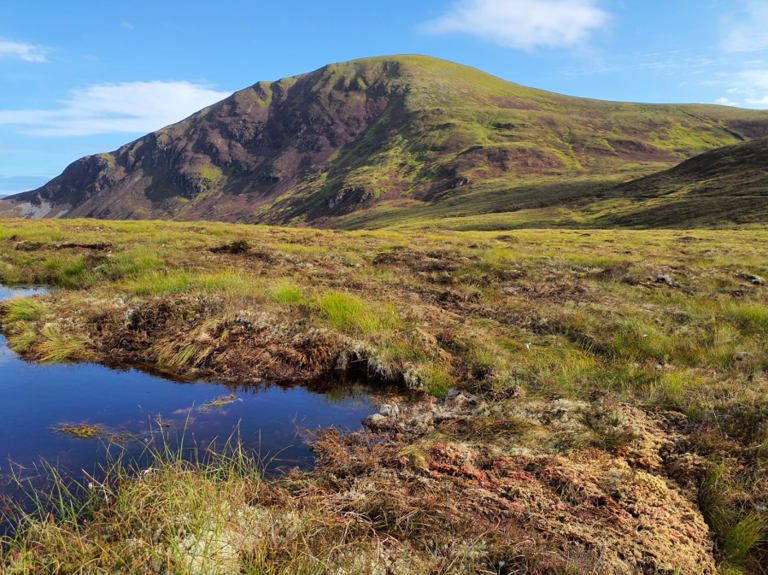 Redefining bog standard: Peatland ACTION is working for climate and ...