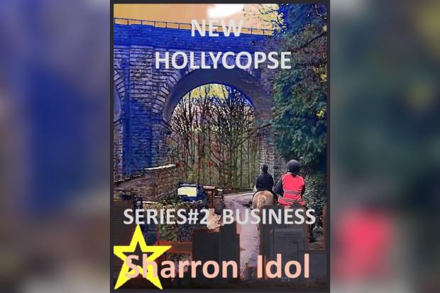 Salisbury author releases sequel to popular rural fiction novel