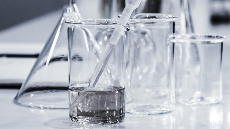 This minor moment actually changed the course of history