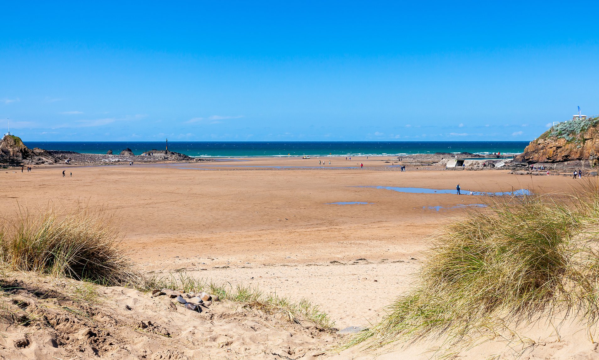 Schoolboy, 15, is found dead in woodland near popular seaside town