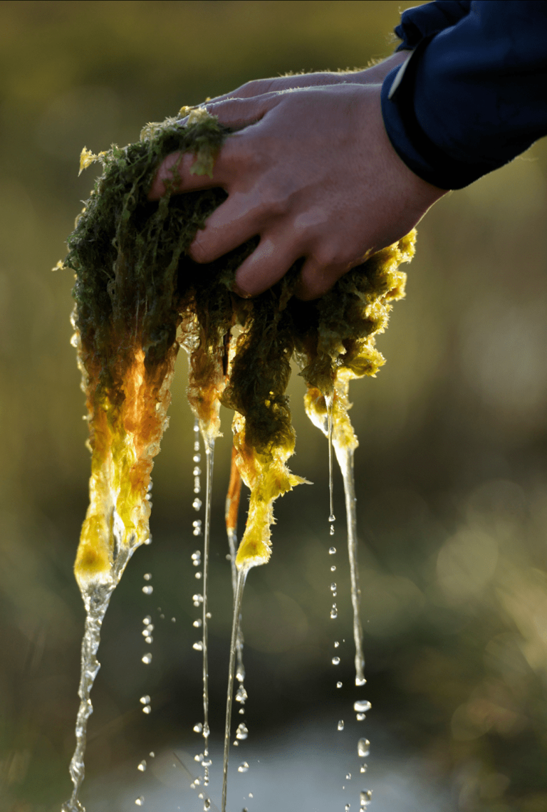 Redefining bog standard: Peatland ACTION is working for climate and ...