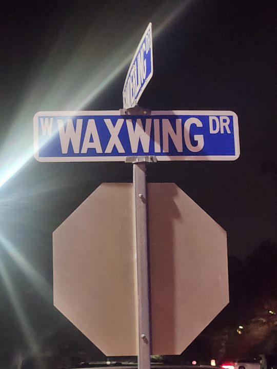 Coroner identifies 16-year-old boy killed in Florence shooting