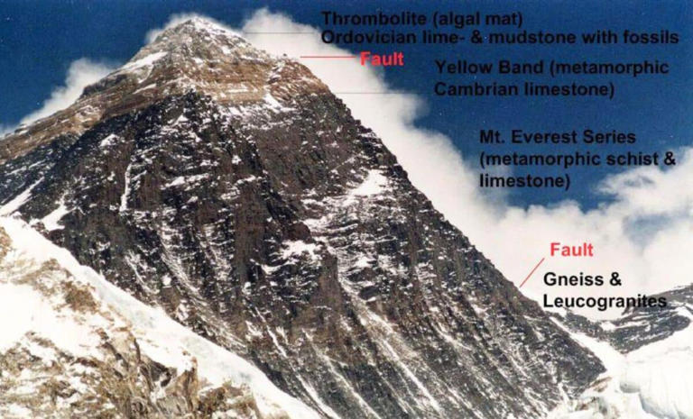 Scientists stunned by fossils found at the peak of Mount Everest, here ...