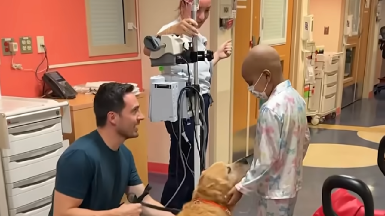 The sweetest hospital surprise: A therapy dog