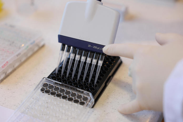 Custom DNA Drugs Are Reshaping Cancer Care Says UC SD Study