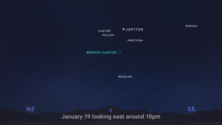 What is the beehive cluster? When, how to see swarm of stars in January