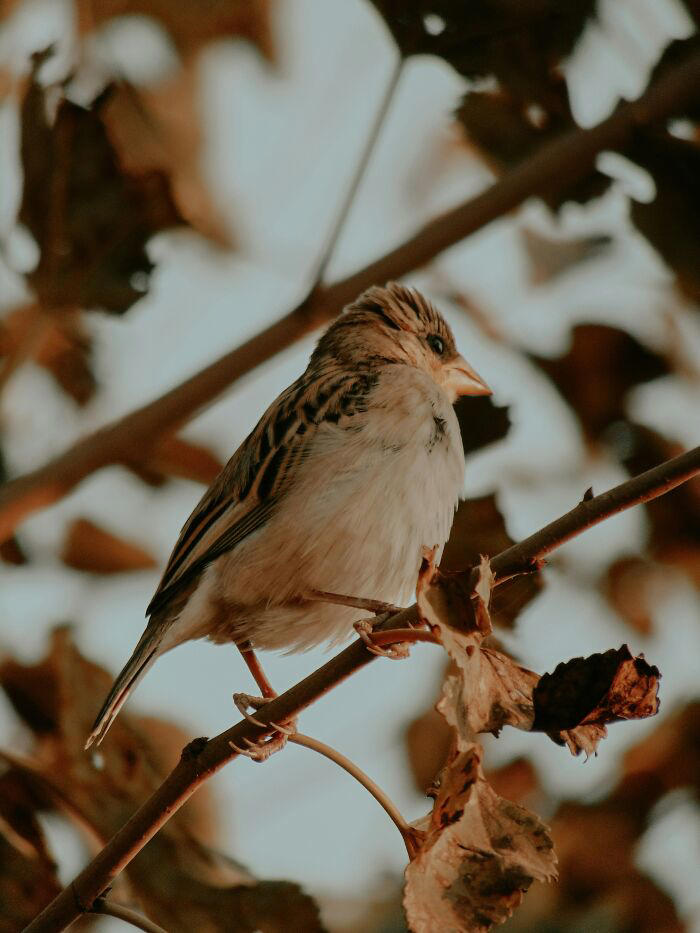 26 small joys people forget to appreciate, according to our community