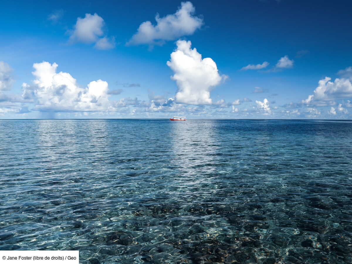 Les océans ont absorbé une quantité record de chaleur en 2025 et ce n ...