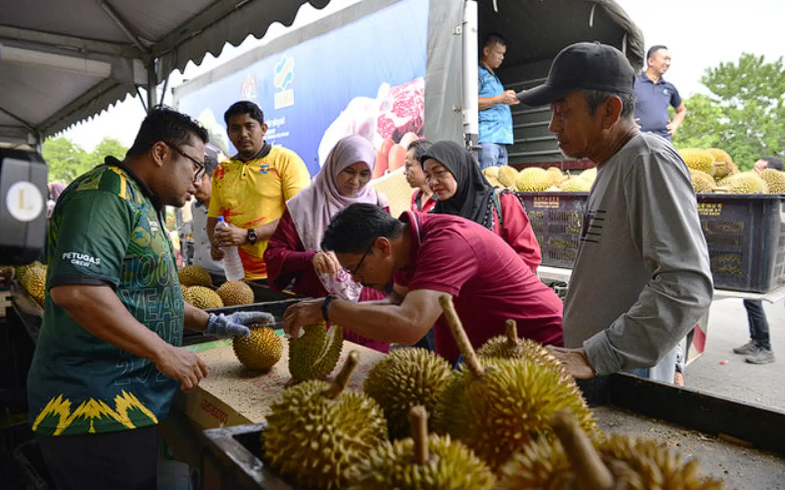Durian glut caused by export rejects, says Fama