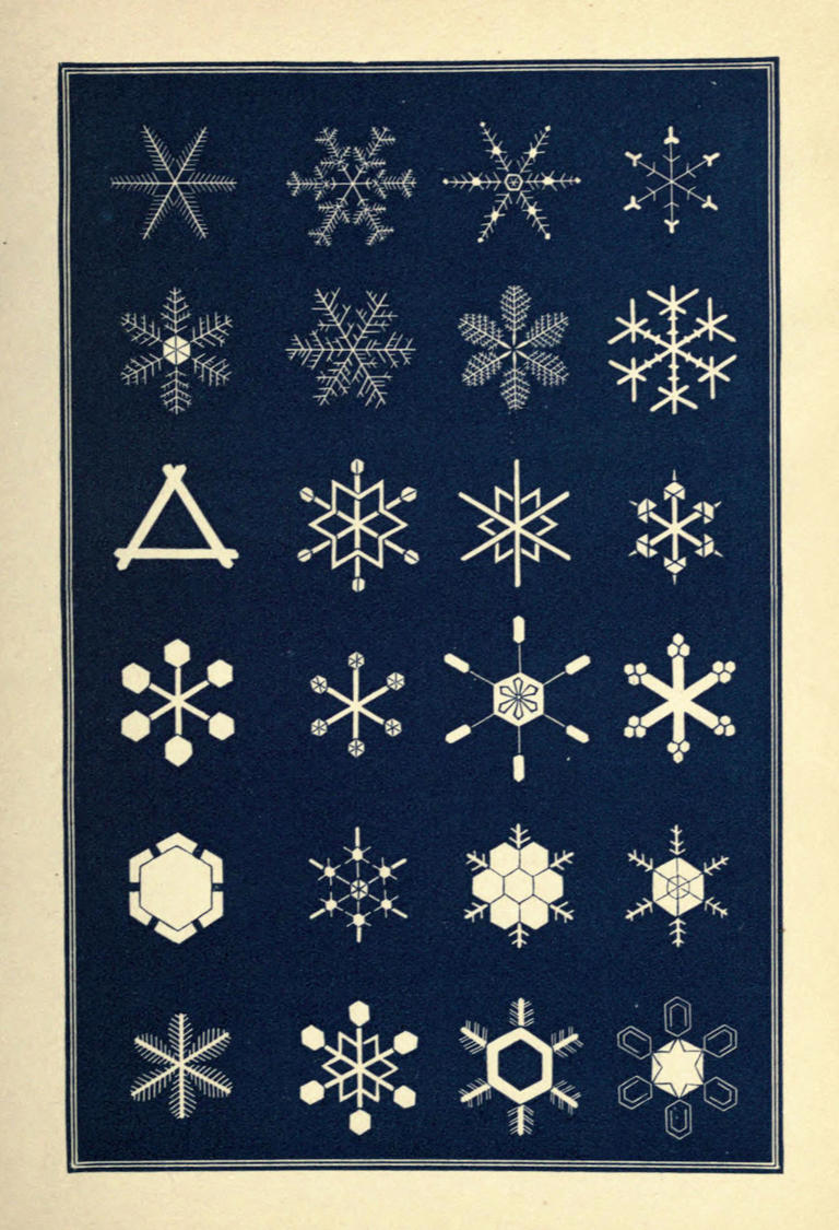 Frost flowers bloom briefly on frozen ponds, and this stunning video ...