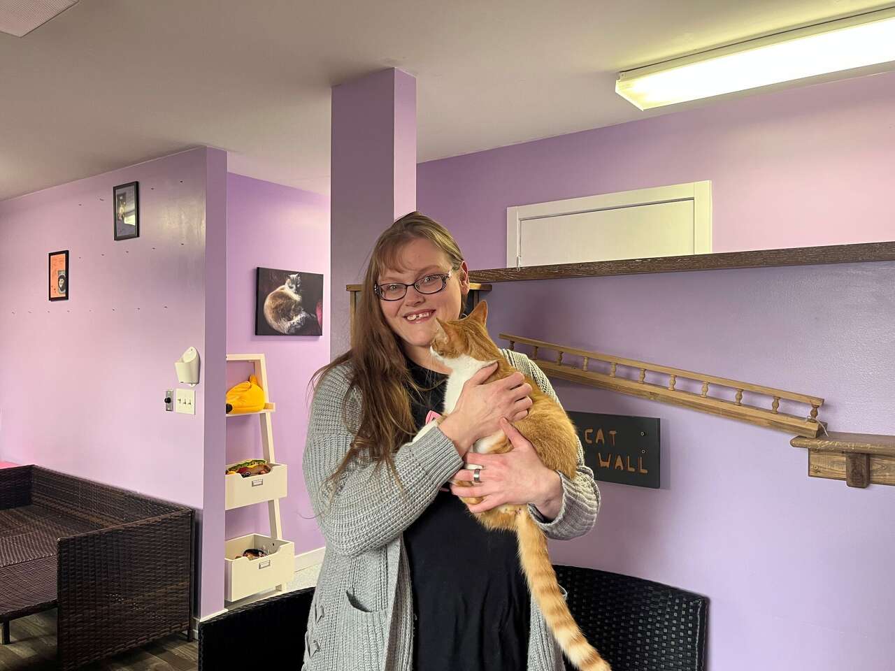 Readers' choice: Cozy Cats Cafe offers shelter, adoption, community