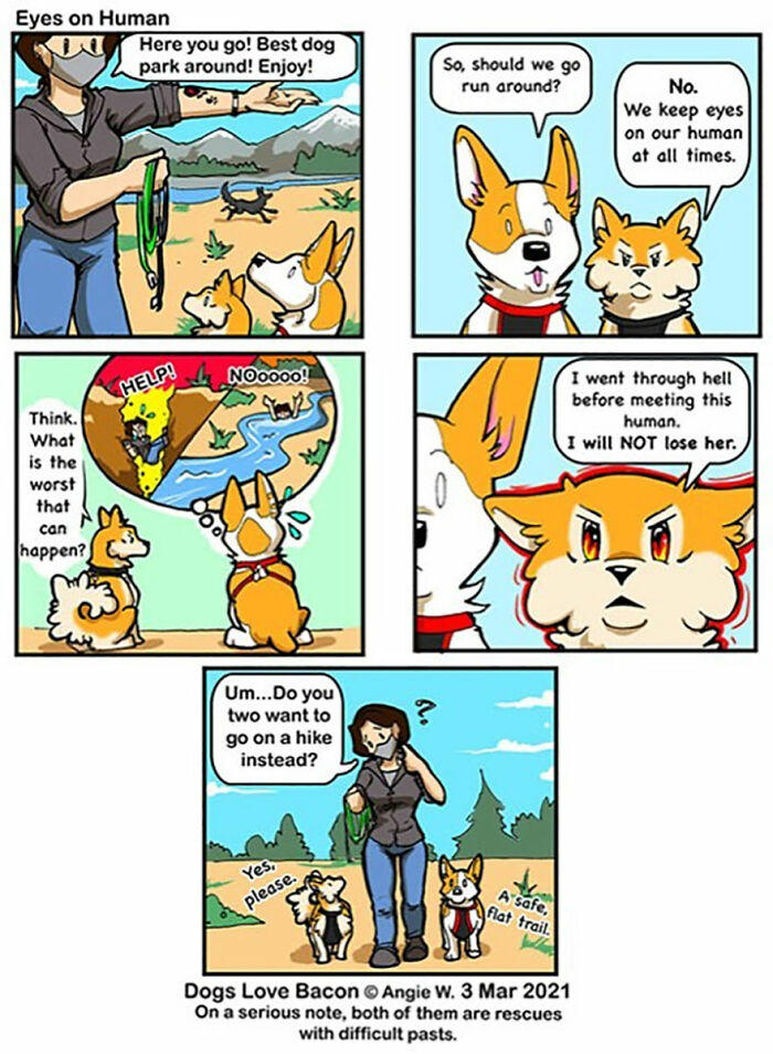 Rescue Tales: 19 relatable comics about life with two adopted dogs
