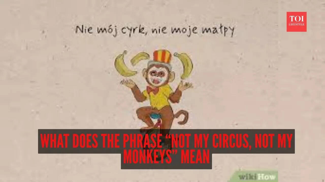 What does the phrase "not my circus, not my monkeys" mean?