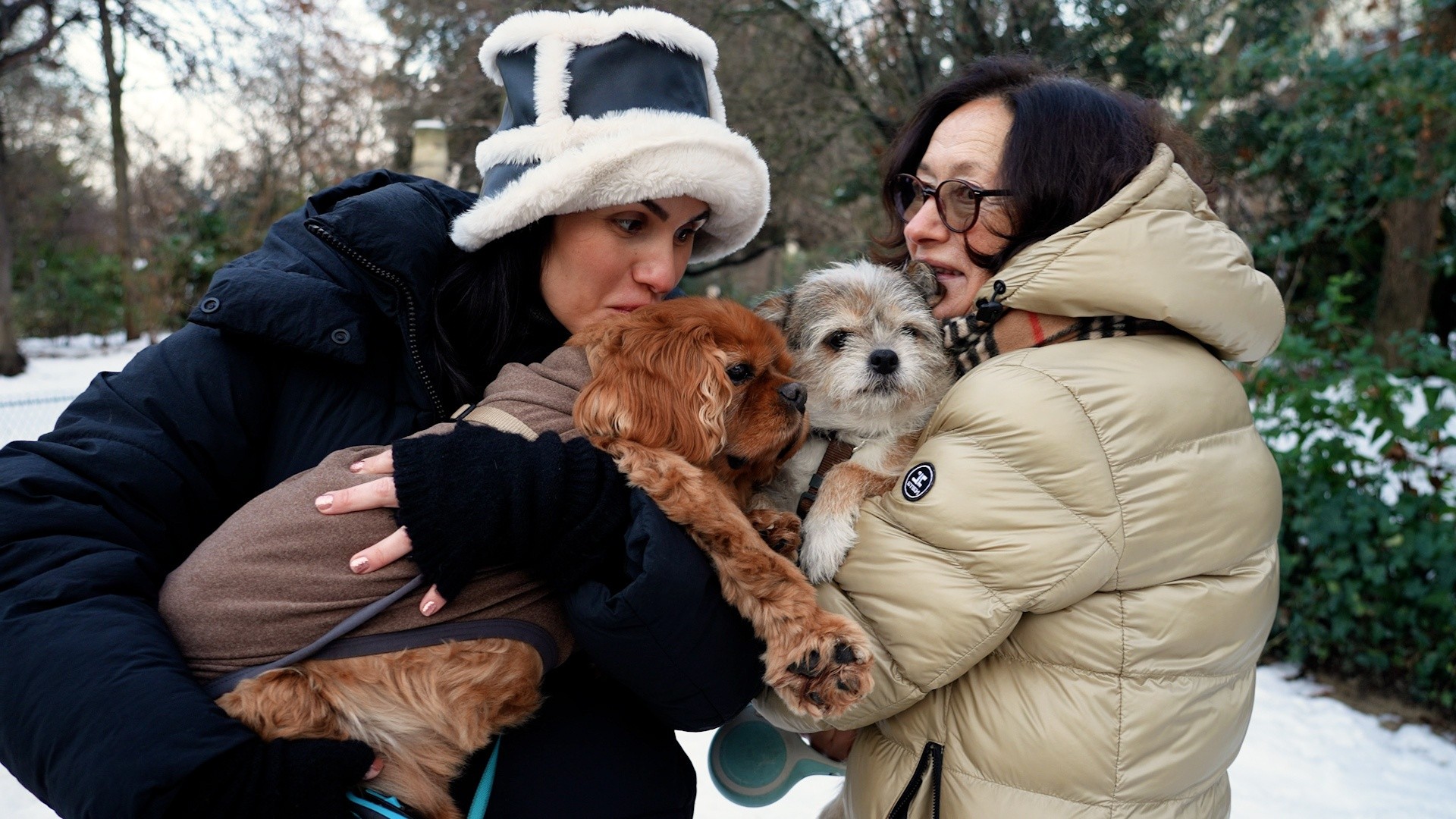 Un chien meurt électrocuté sur un trottoir à Paris, les habitants sous ...
