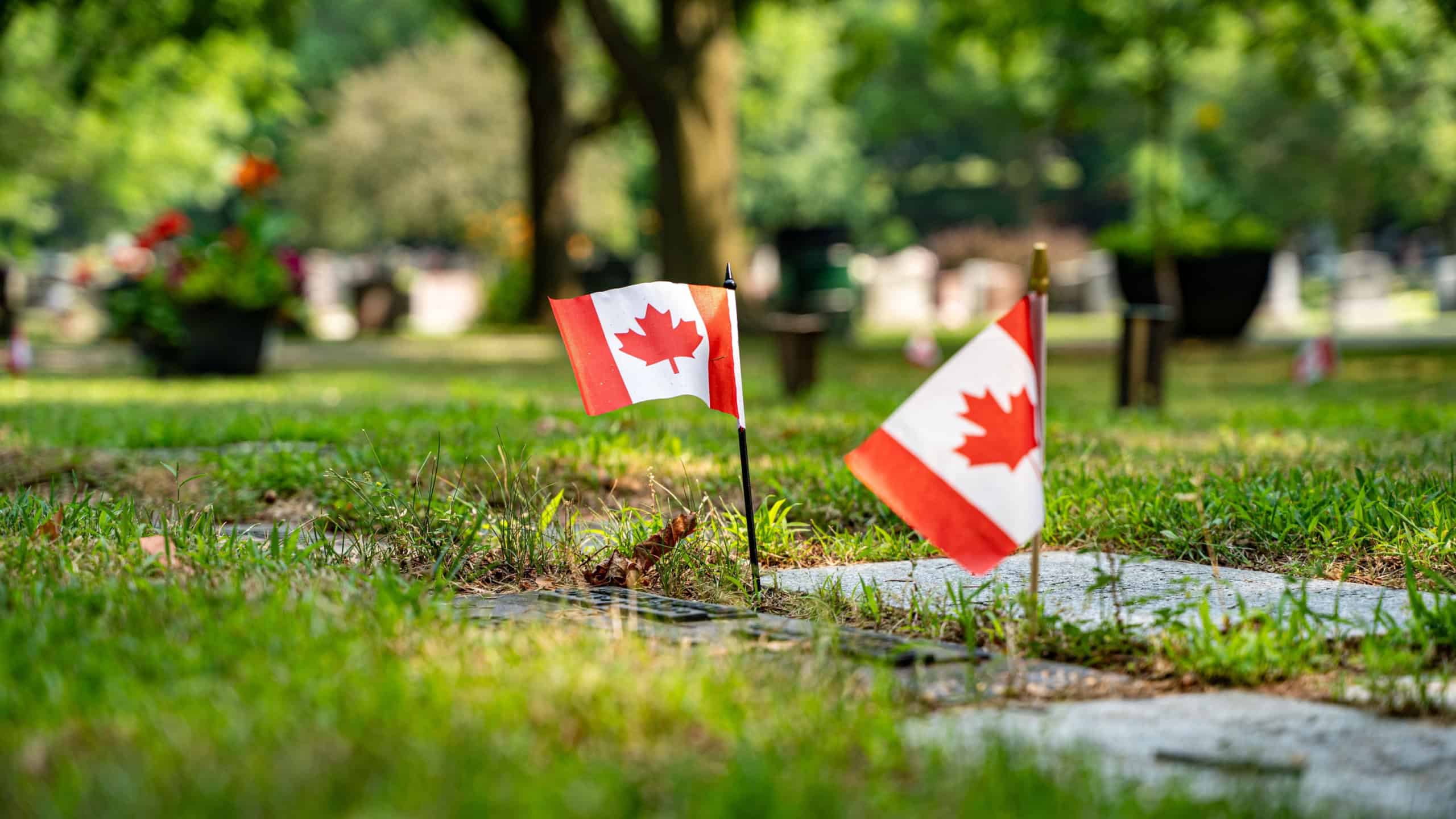 10 Canadian environmental policies the US doesn't always share