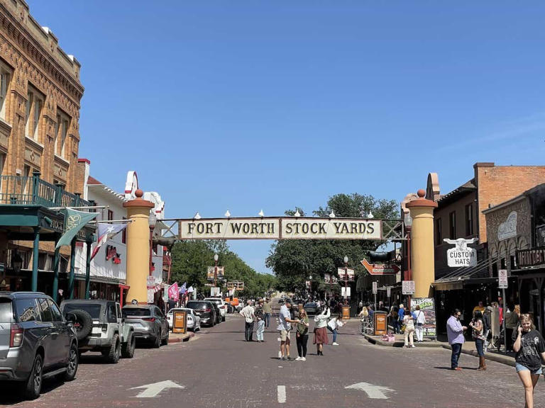 From Amarillo to San Antonio: The biggest and the best Texas rodeos