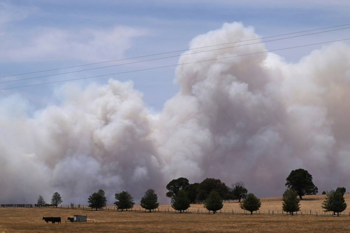 'Hectic' bushfires threaten rural towns in southeast Australia