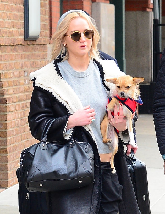 Jennifer Lawrence explains difficult decision to rehome her beloved dog