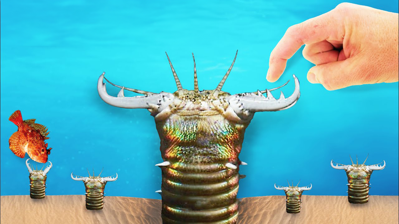 What happens during a bobbit worm attack