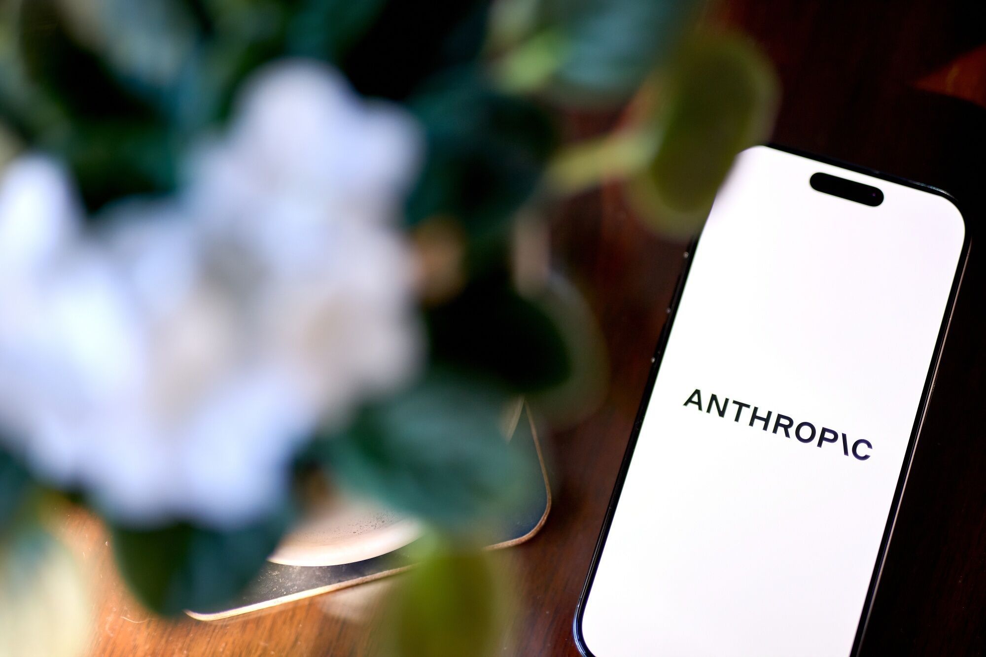 KI: OpenAI-Rivale Anthropic gewinnt die Allianz als Großkunden