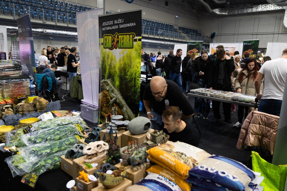 Przed nami EXOTIC FEST - targi egzotycznych zwierząt w Hali Podpromie w ...