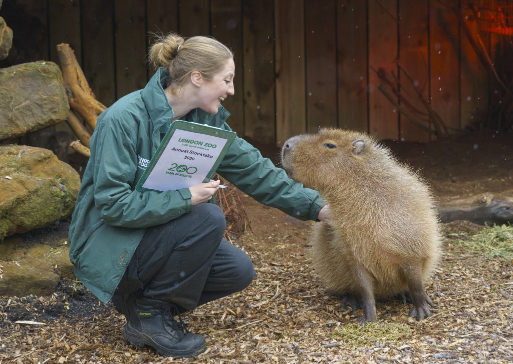200-year-old zoo conducts annual animal count to start new year