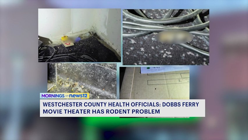 Dobbs Ferry movie theater cited for rodent issues after dead mouse ...