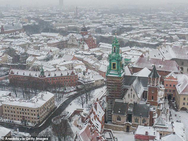Frozen Europe grinds to a halt: Chaos in Germany as -20C blizzards halt ...