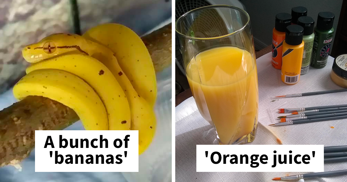 Forbidden snacks: 44 times inedible objects looked deceptively tasty