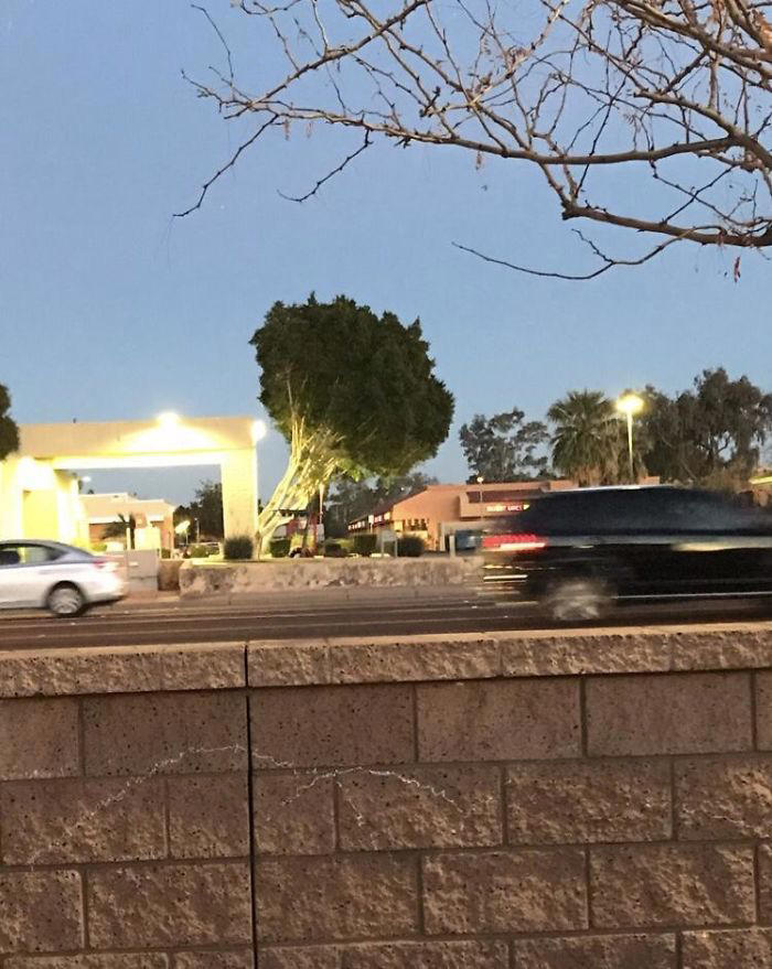 Forbidden snacks: 44 times inedible objects looked deceptively tasty