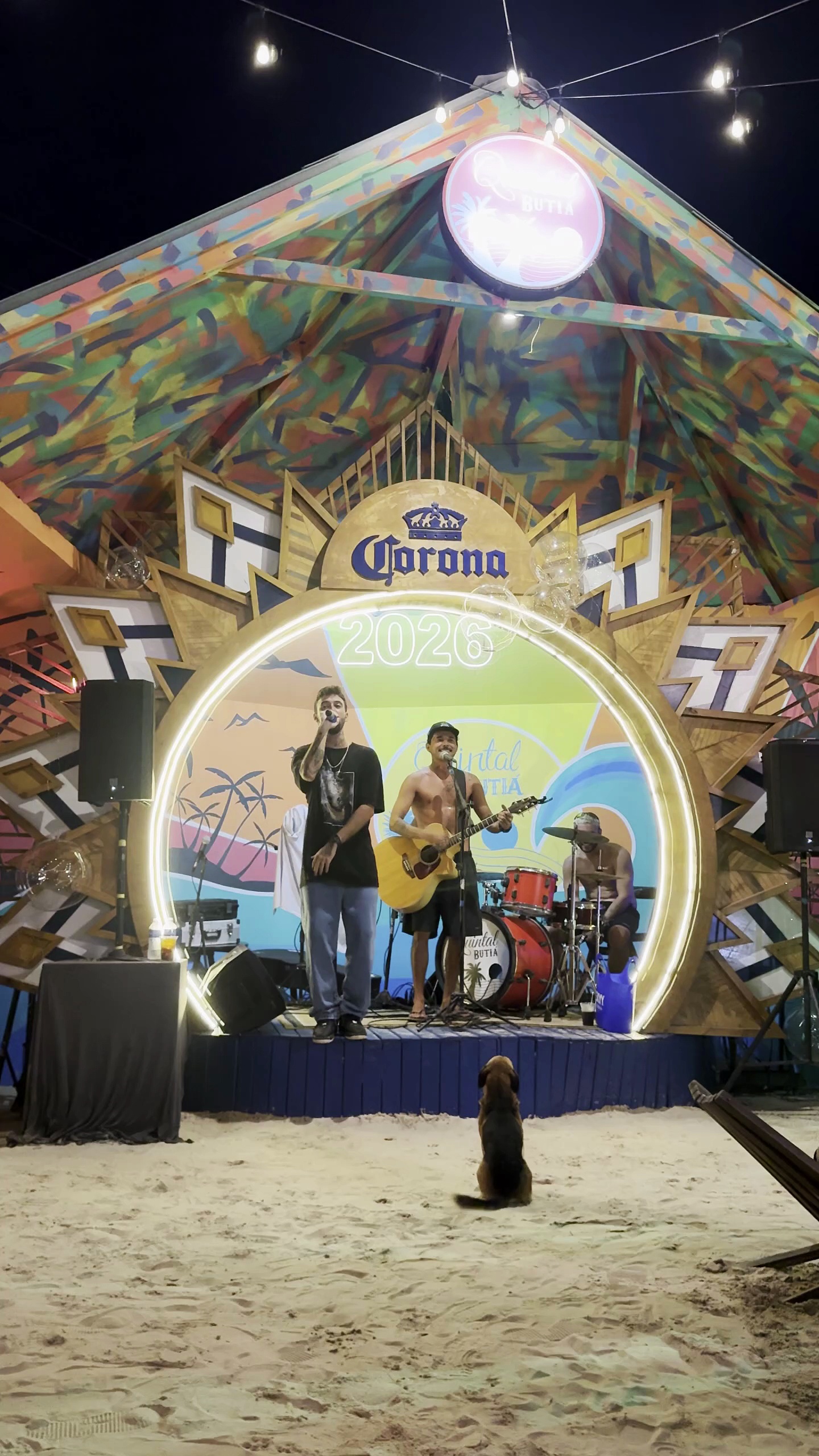 Vídeo: Cachorrinho é flagrado dançando e aproveitando show em SC