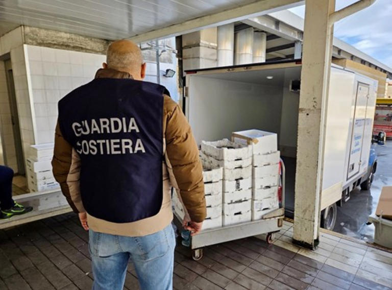 Controlli al mercato civico di Sassari, sequestrati 140 chili di pesce