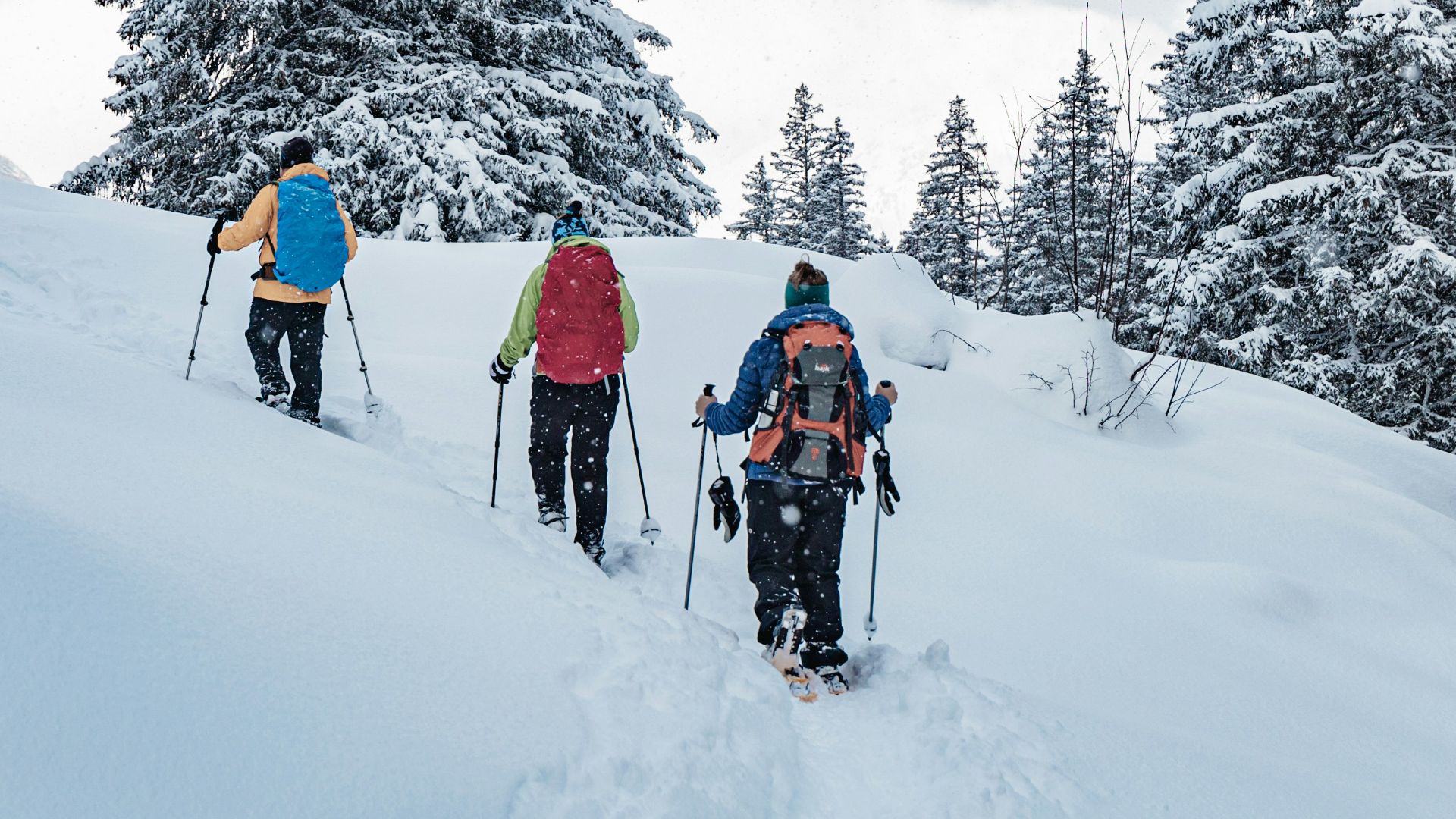 Don't spend winter cooped up inside—these activities are fun for the ...